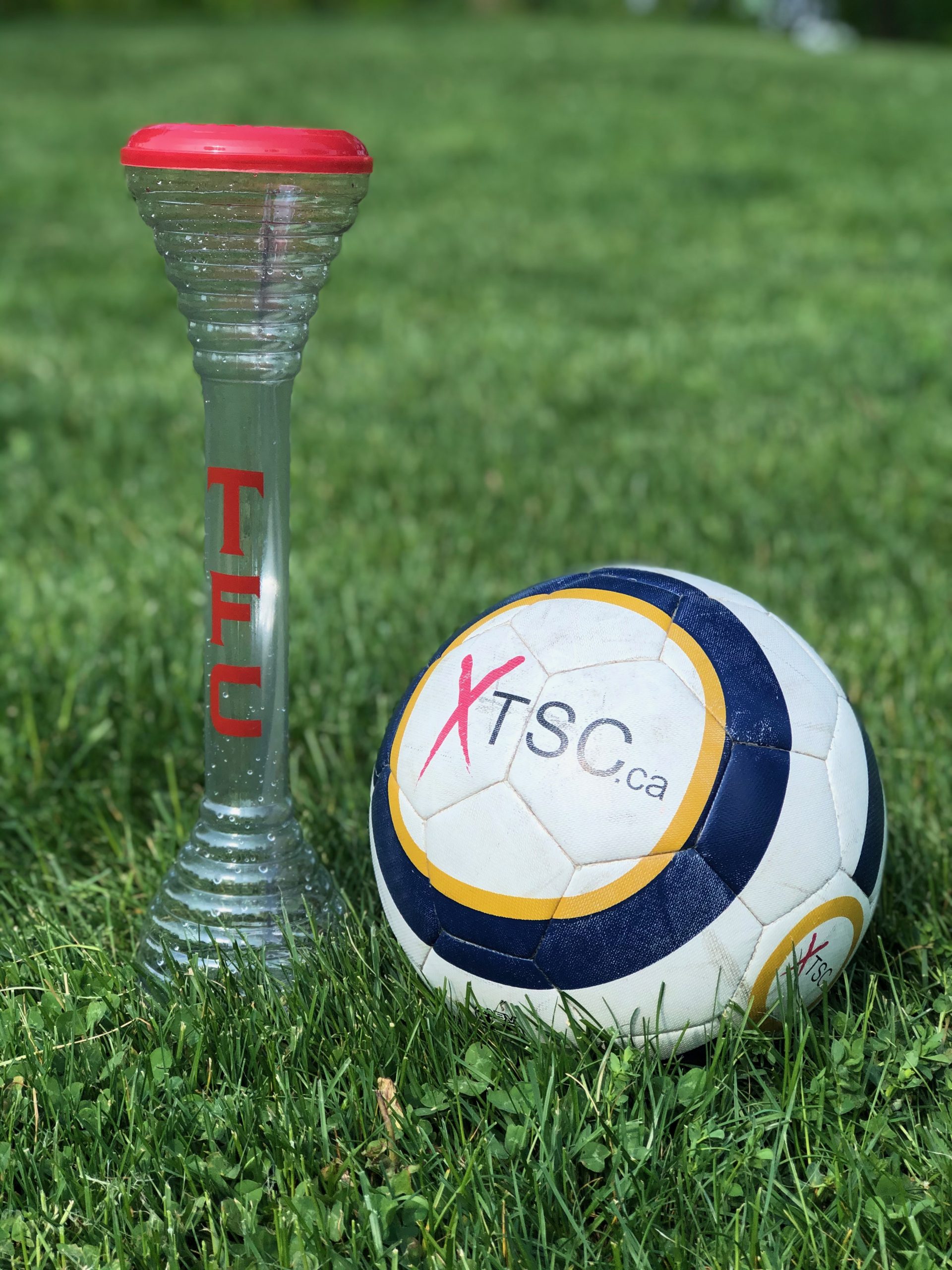 XTSC Ring Ball - Extreme Toronto Sports Club